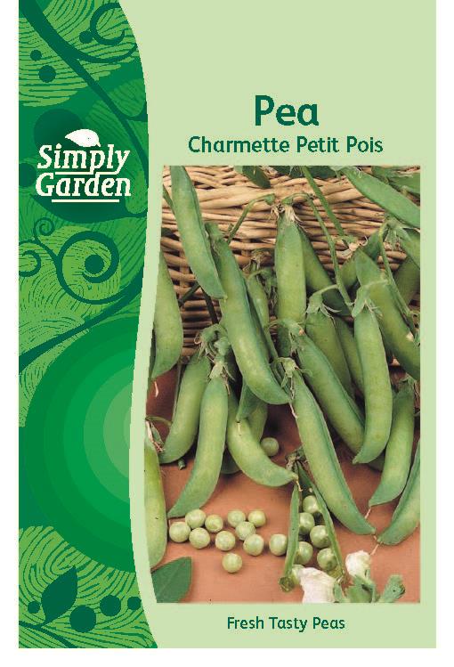 SG - Pea Charmette Petit Pois